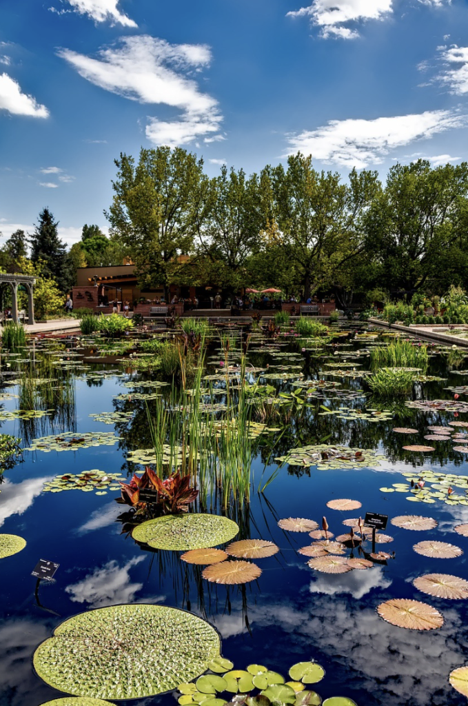 Denver's Hidden Gems: A Photographer's Ultimate Guide to Mesmerizing ...